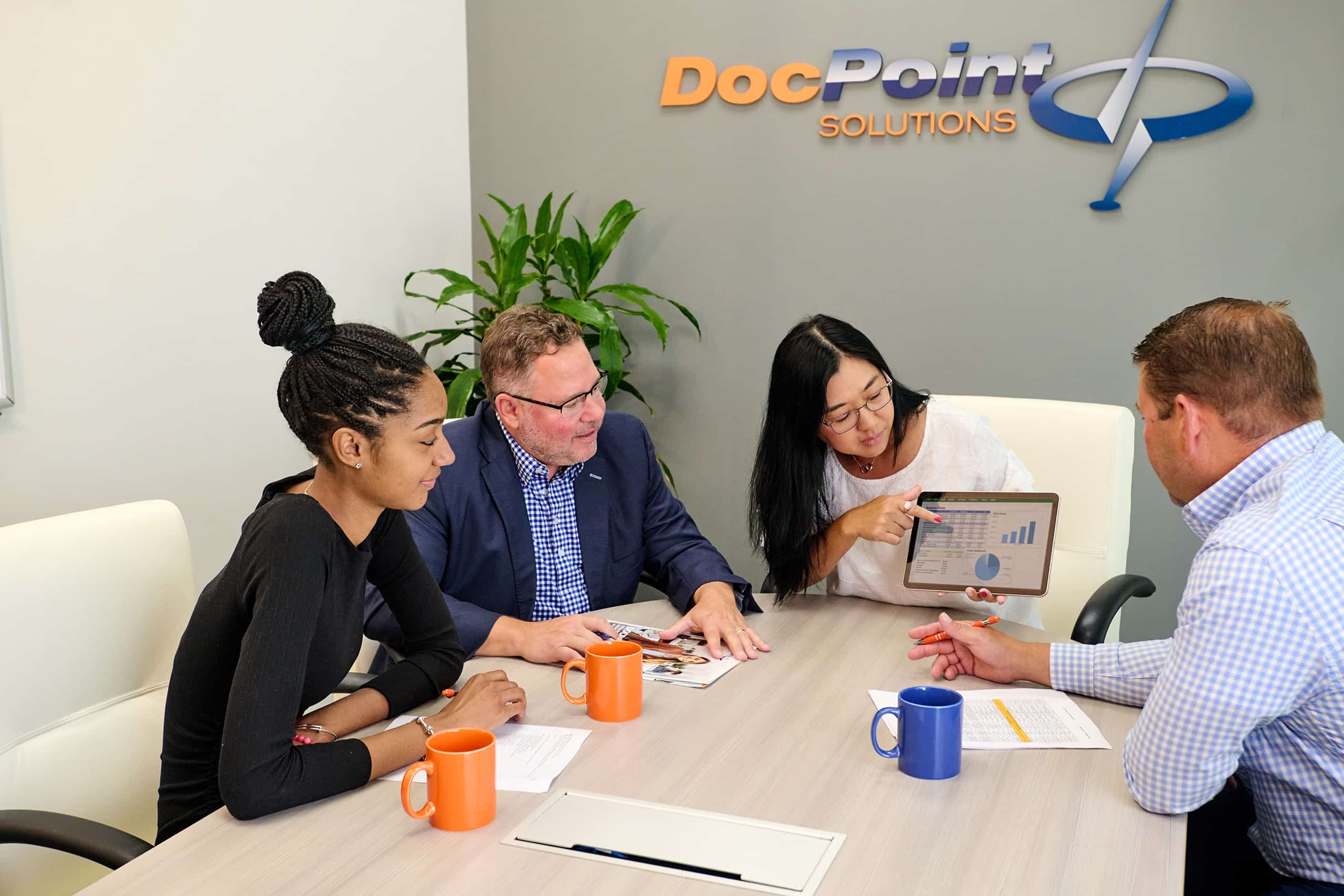 Business Analysis | DocPoint Solutions